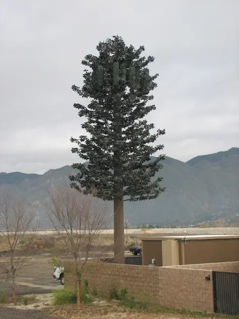 Cell Trees, Inc. - Leading Concealed Cell Tower Solutions